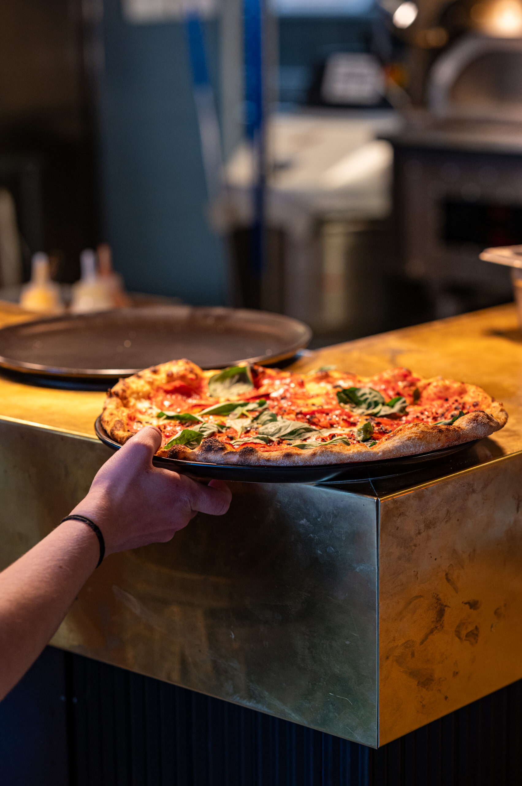 Etusivu - Fat Lizard